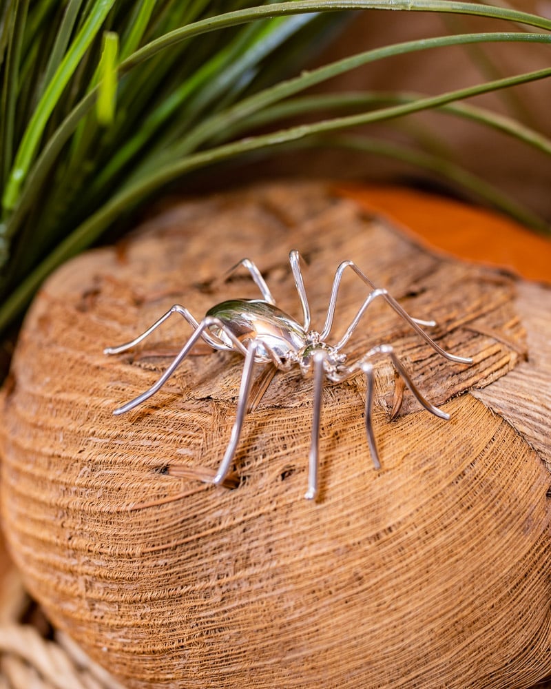 Sterling Silver Spider Pin - Native American Turquoise Jewelry - Dakota ...