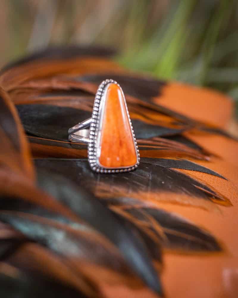 Spiny Oyster Native American Jewelry Dakota Sky Stone